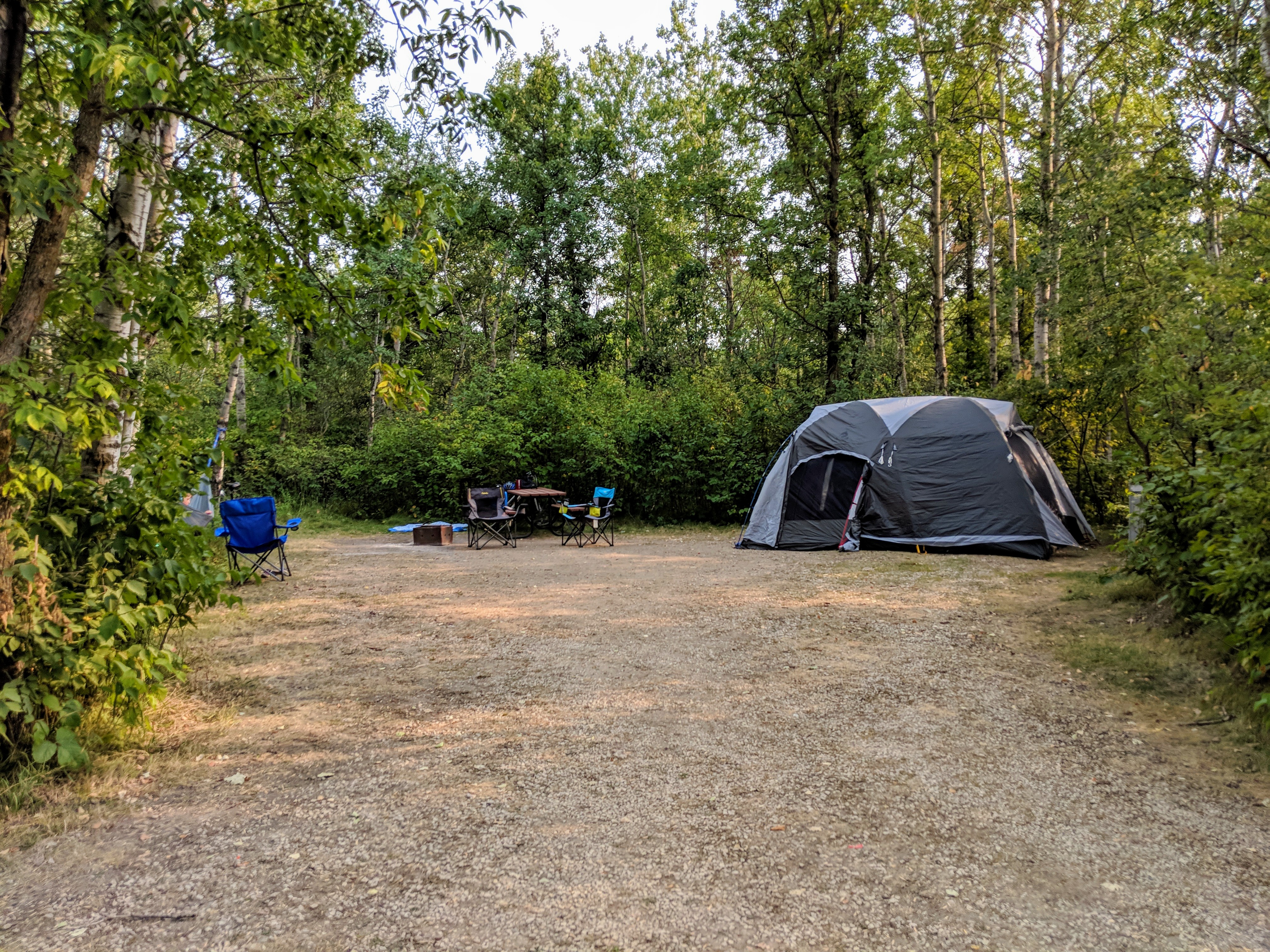 Family Fun Weekend – Wild Woman Wisdom